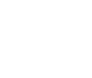 Stream-Flo Group of Companies - Stream-Flo Industries Ltd.