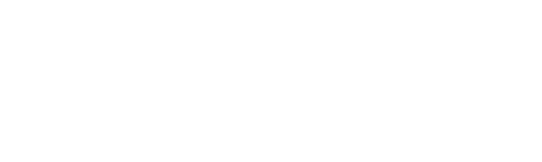 Stream-Flo Group of Companies - Stream-Flo Industries Ltd.